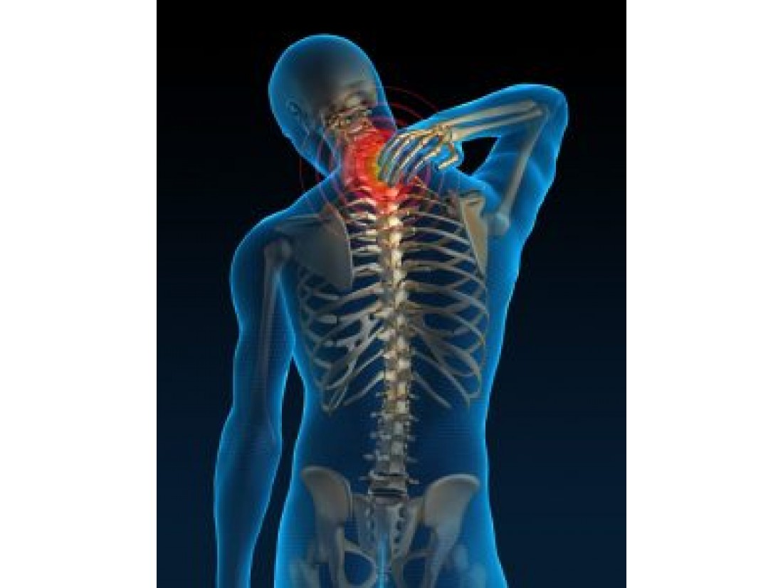 Module 2 Cervicalgie (partie 1)- France- réunion