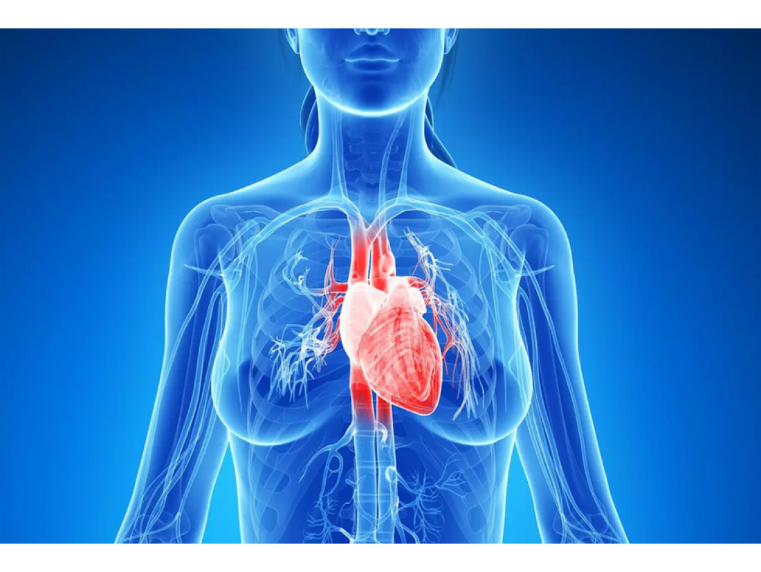 Module Coeur- France-Réunion